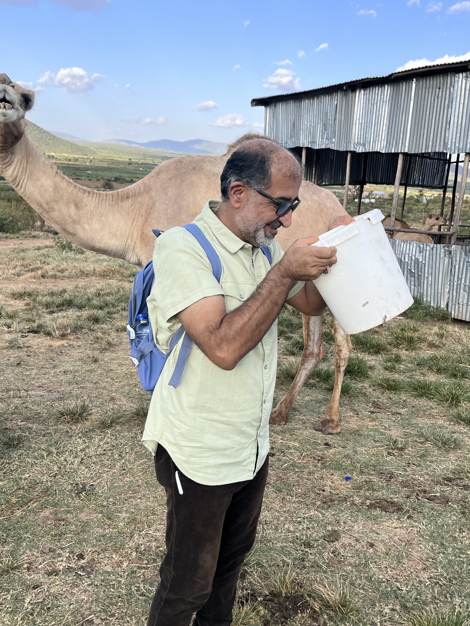 Camel Milk: A Revolutionary Elixir for Leaky Gut, Immune Health, and ...